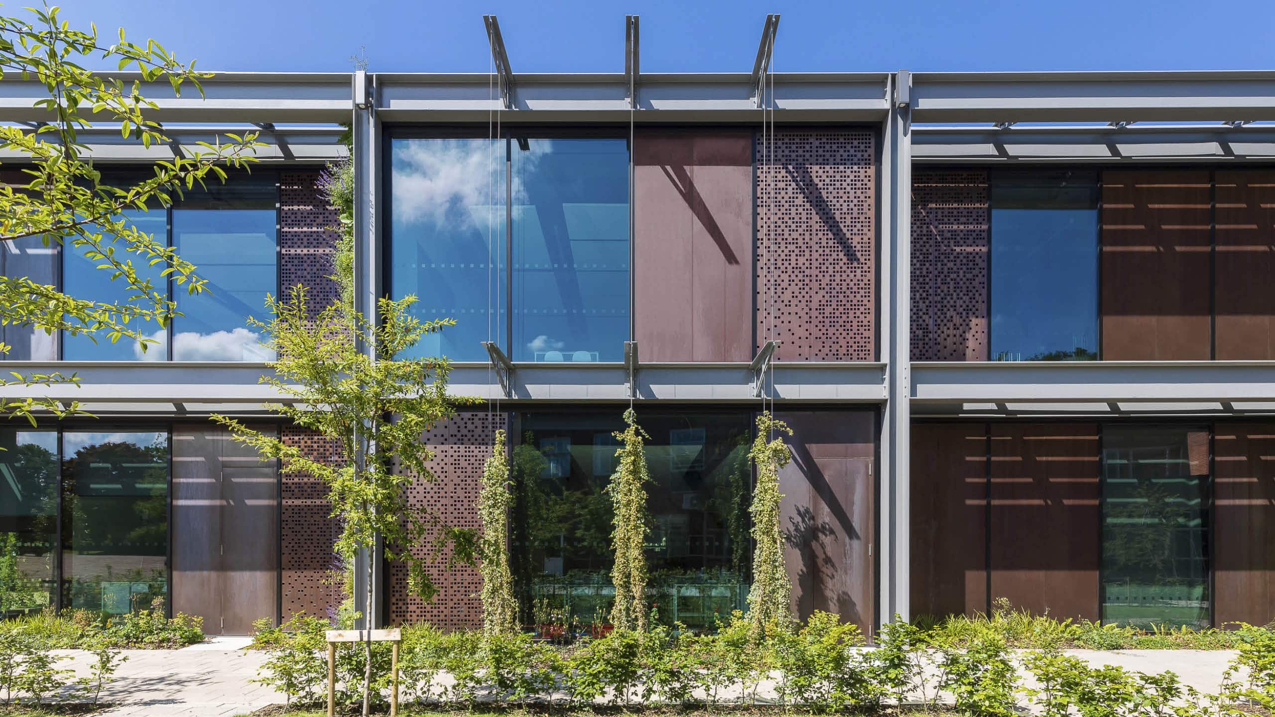 The Dyson Building